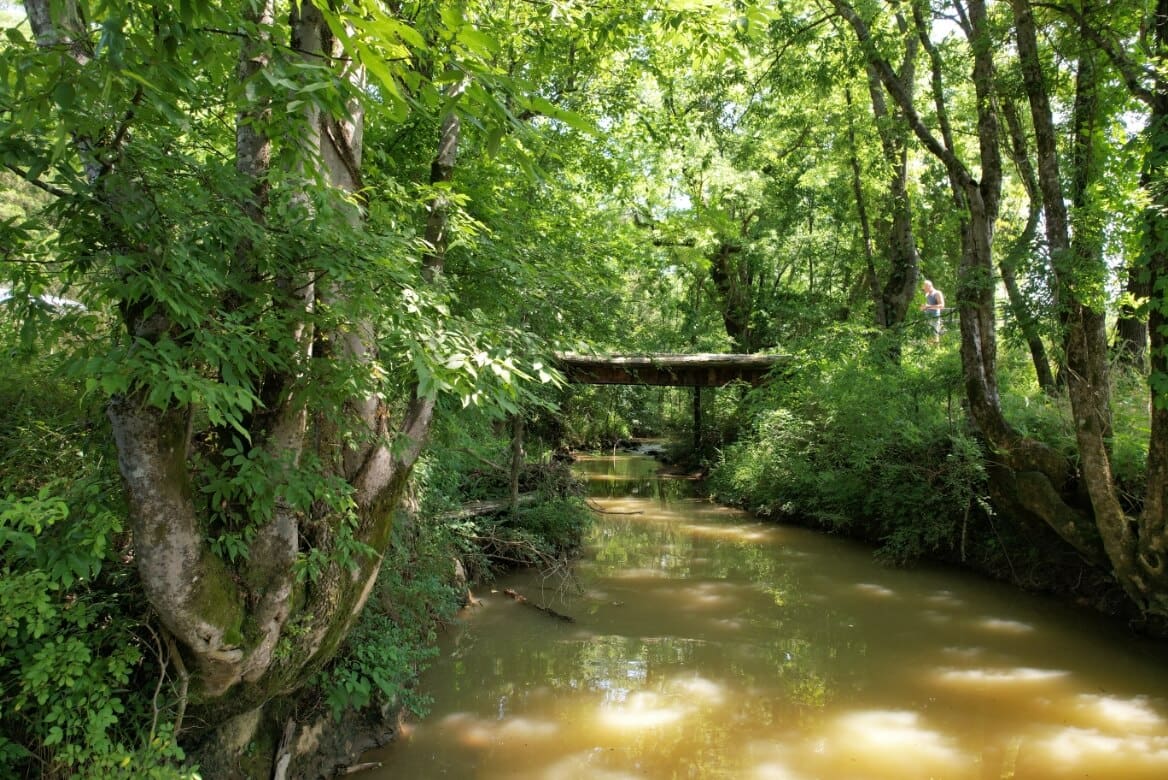 Gallery - Blue Moon Campground
