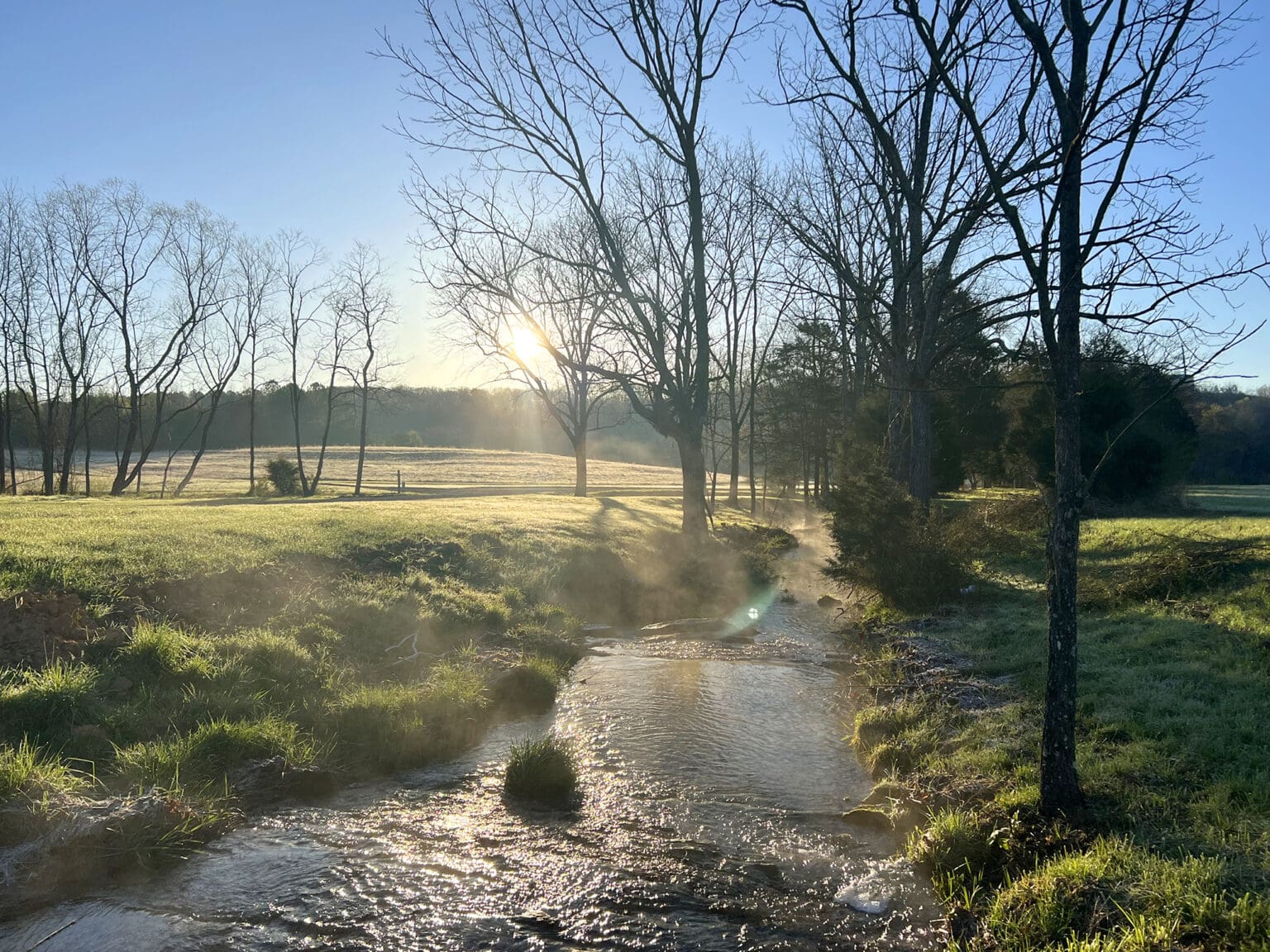 Gallery - Blue Moon Campground