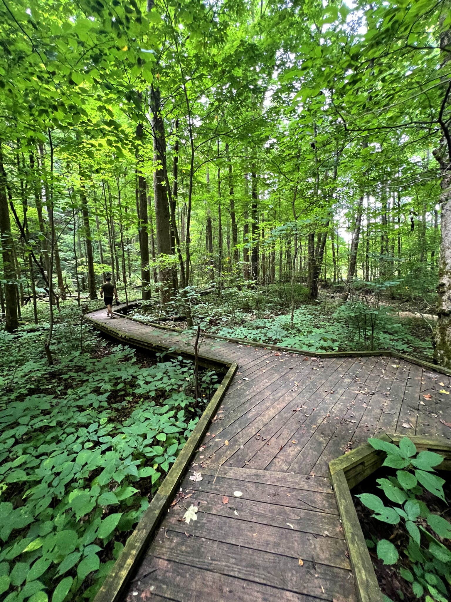 Blue Moon Campground