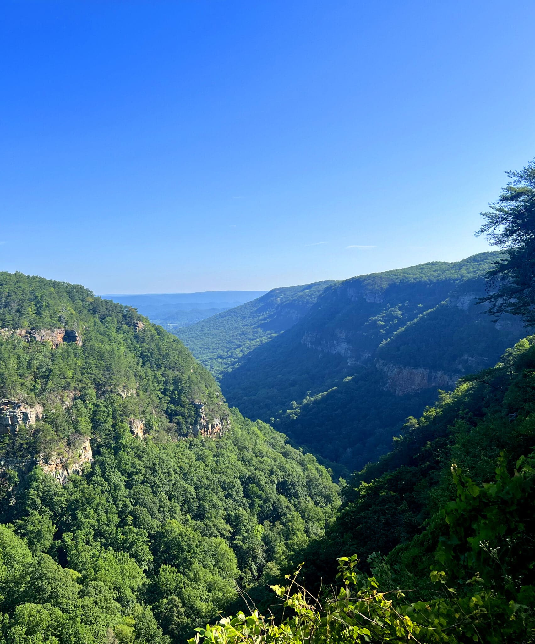 Blue Moon Campground