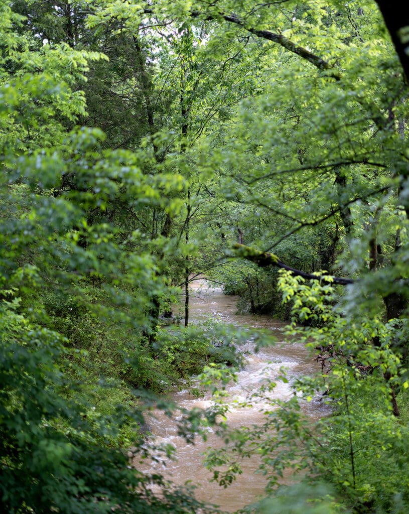 Gallery - Blue Moon Campground