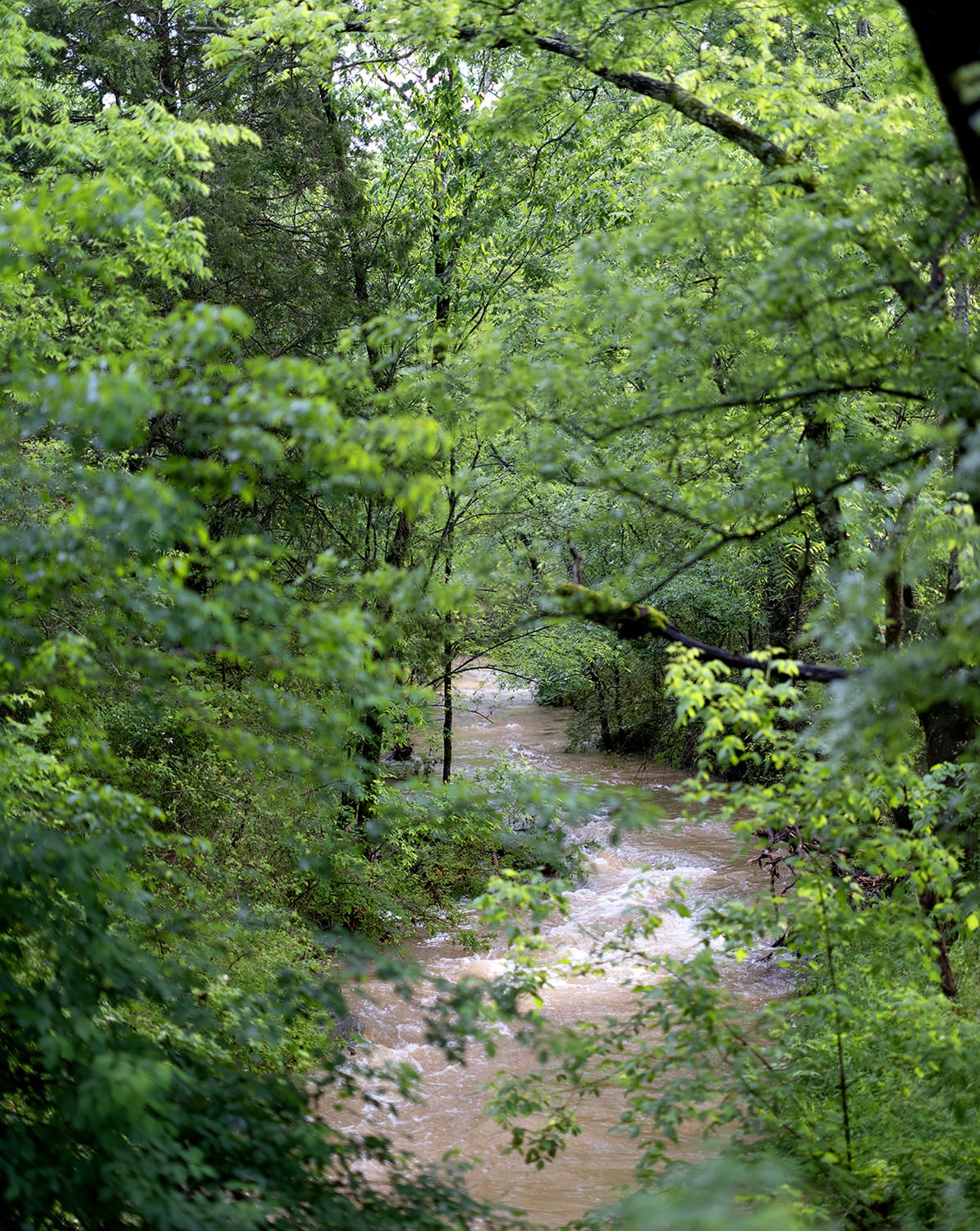 Gallery - Blue Moon Campground