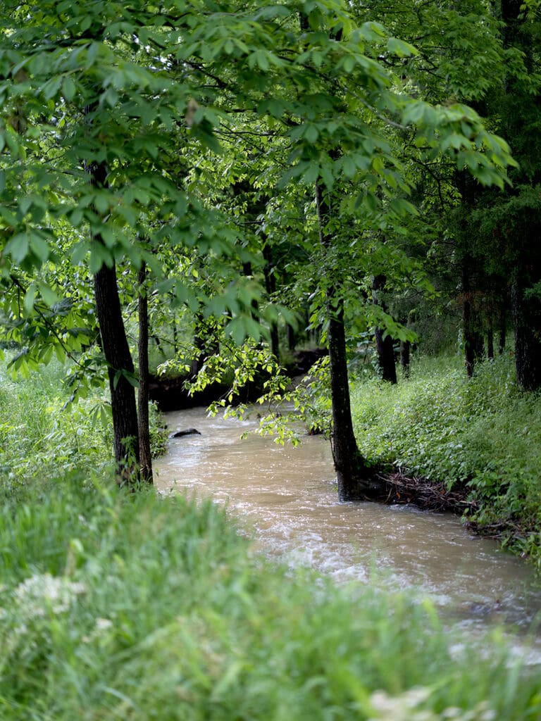 Gallery - Blue Moon Campground