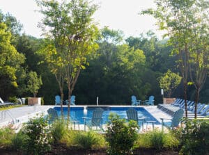 Blue Moon Campground