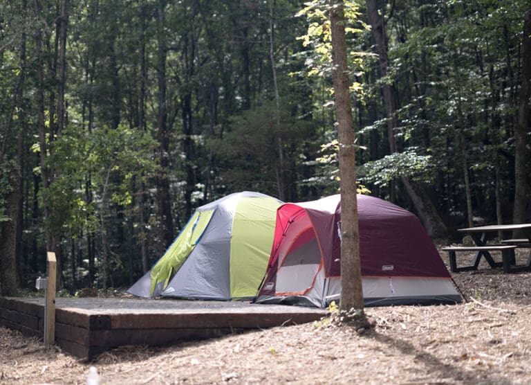 Stay - Blue Moon Campground